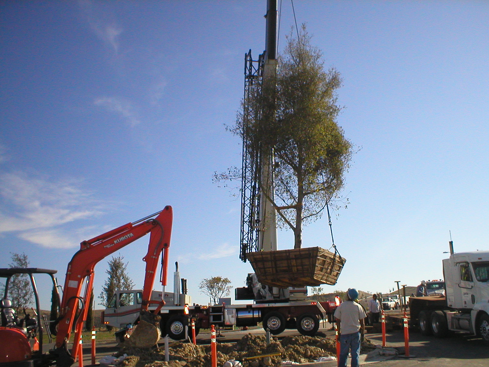 Commercial Installation - Benchmark LandscapeBenchmark Landscape