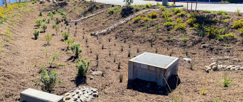 All Your Questions About Bioretention Systems Answered - Benchmark ...